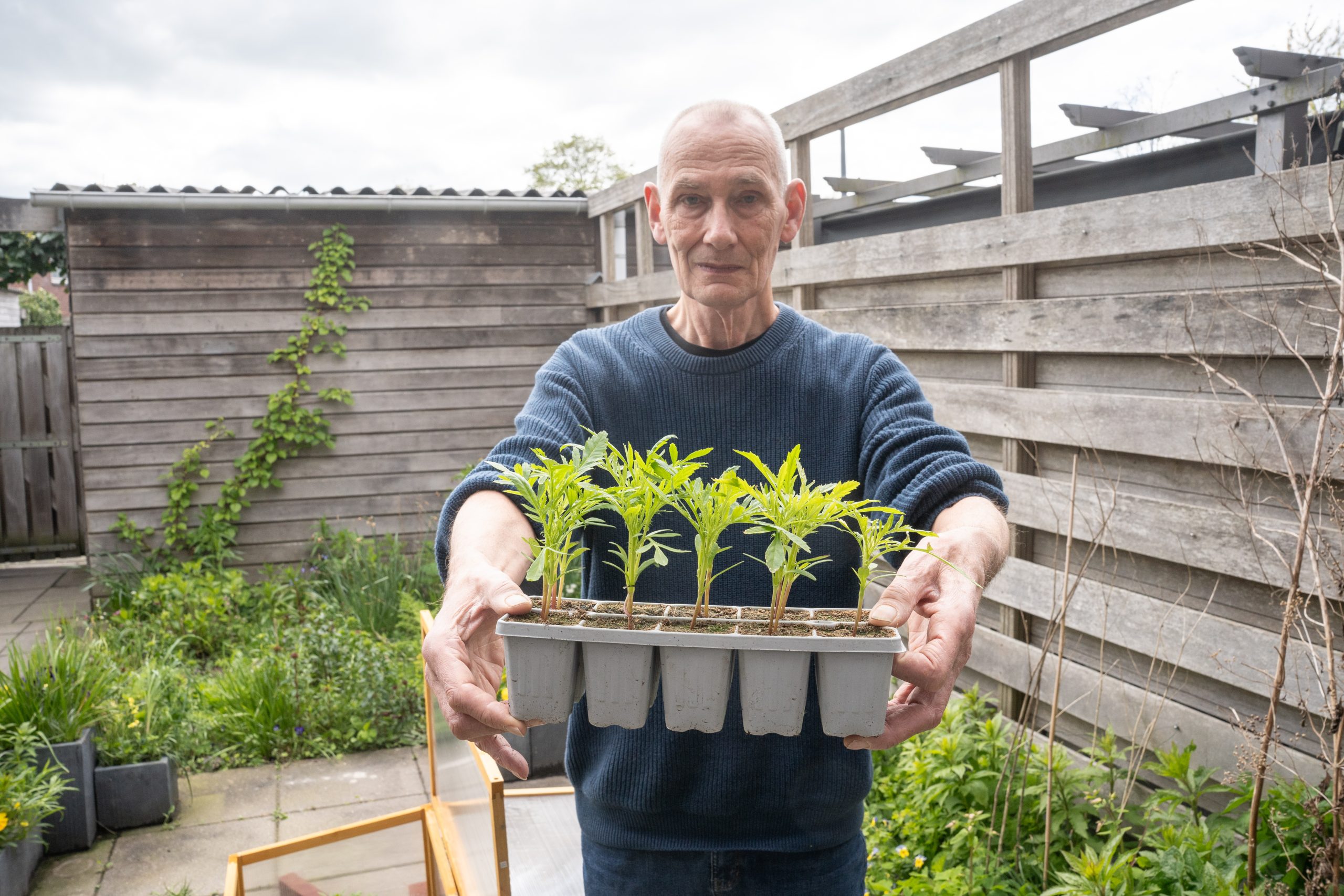 "I feel responsible for my neighbourhood" - Amaryllis